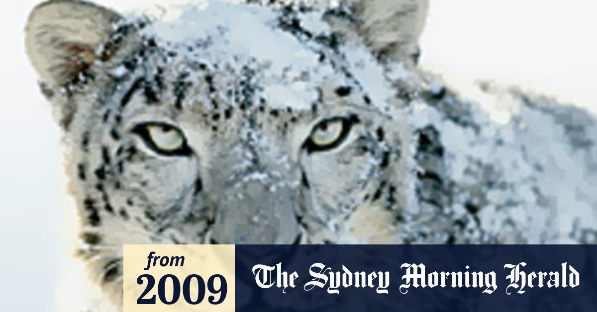 First look at Apple's new Snow Leopard OS