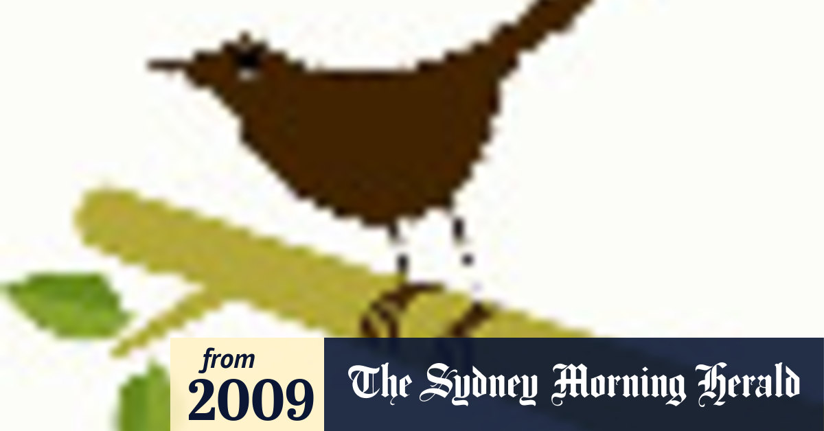 Twitter users fall off the perch