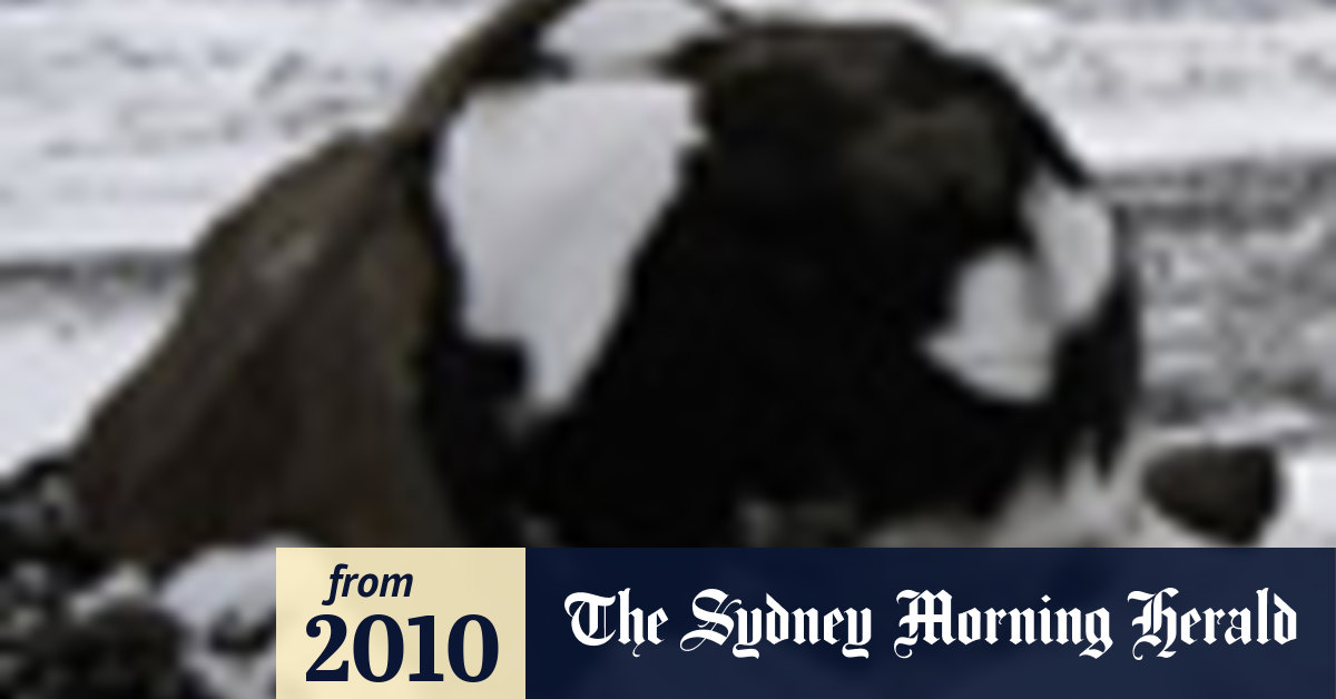 Katla, the 'witch' volcano, looms over Iceland