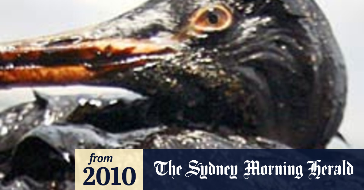 Lost at sea: the tide turns for BP