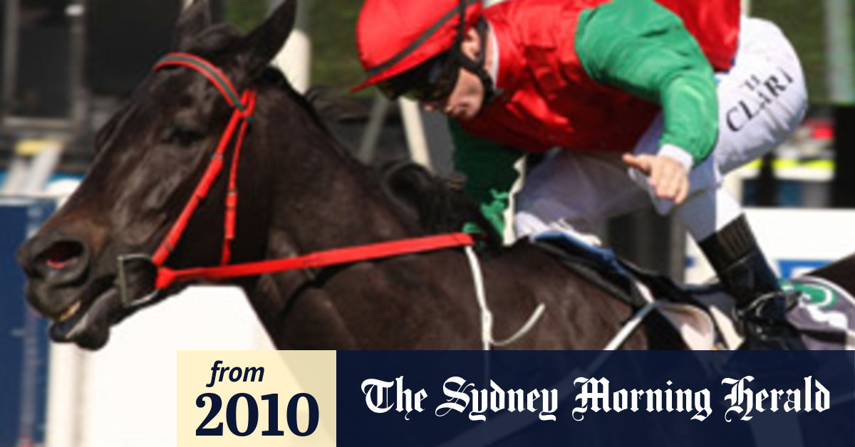 Champion mare returns and she's as hot as ever