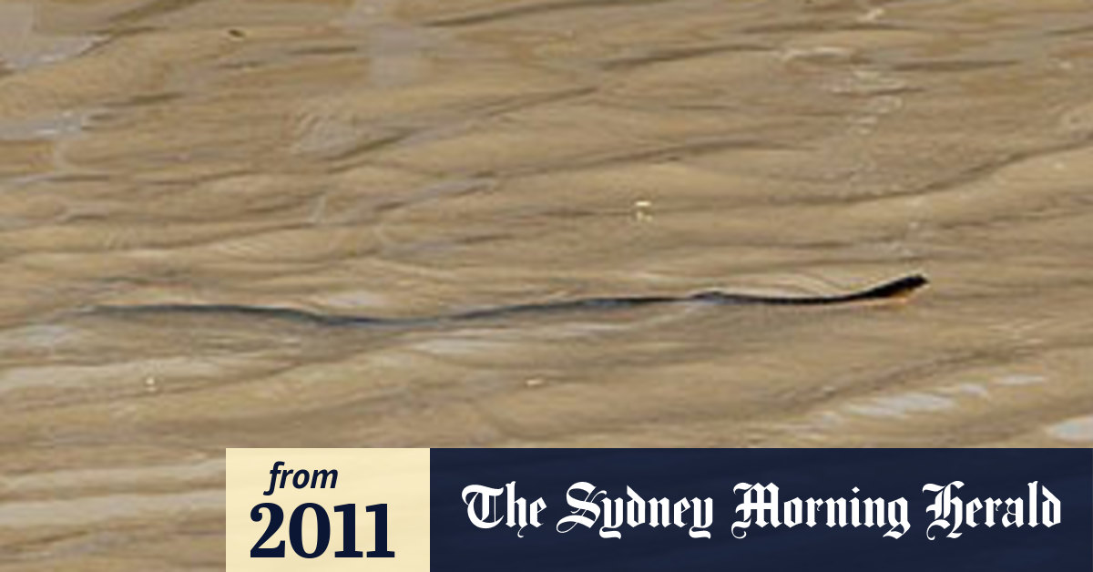 Snakes keep residents on their toes