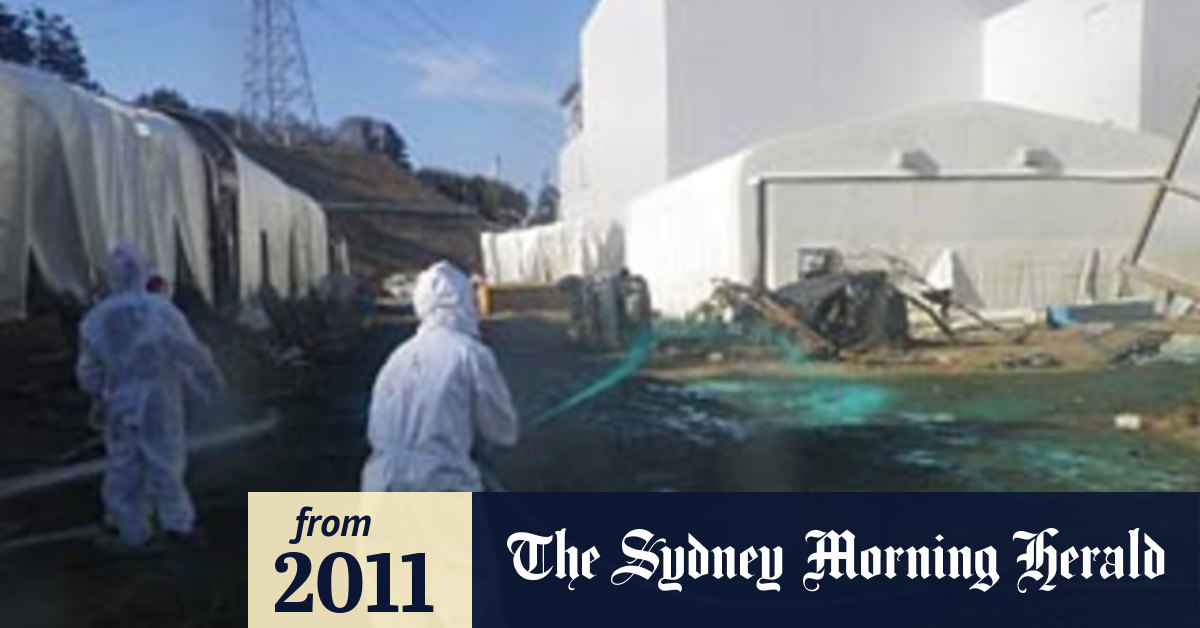 Nuclear disaster response failed, report finds