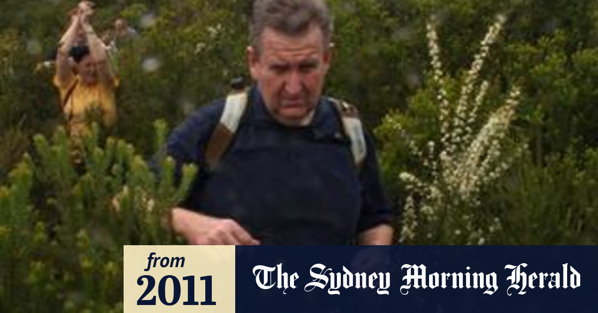 Mining shadow cast over new national park