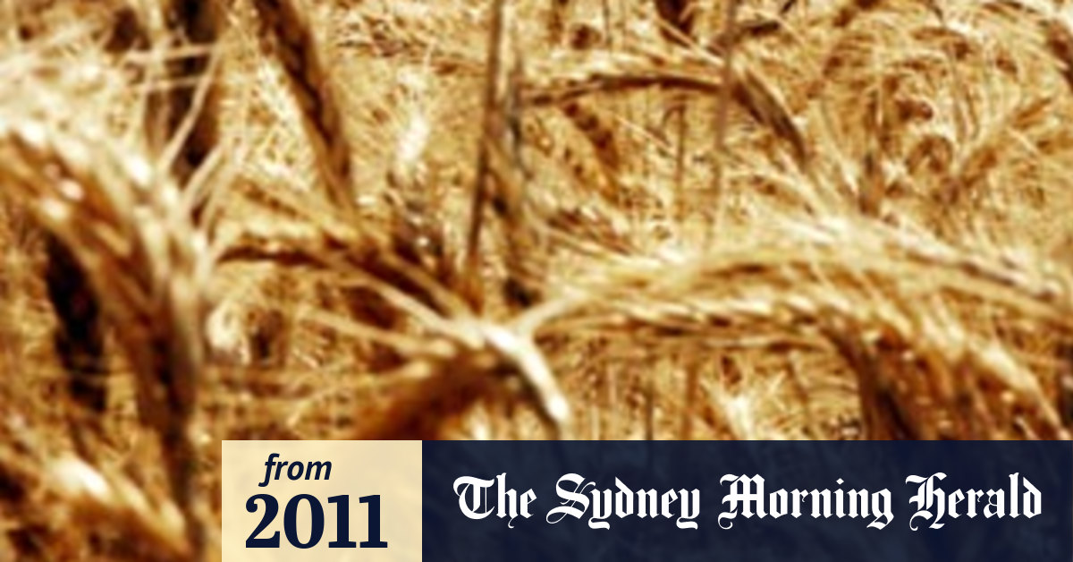 Our votes for sale, say angry grain growers