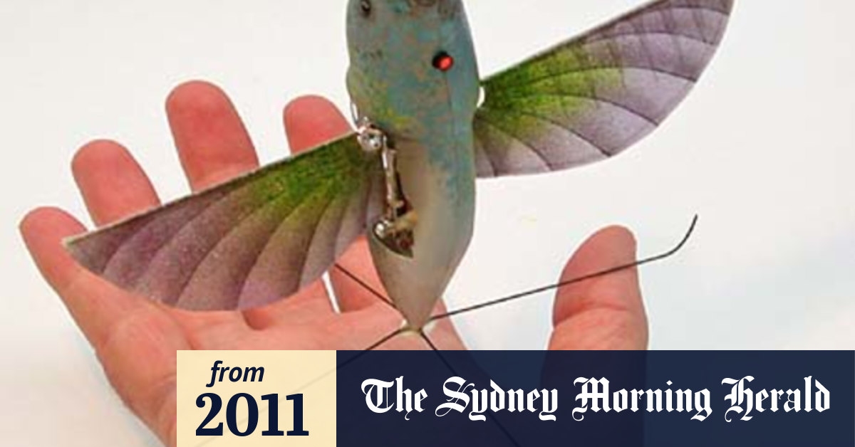 Pentagon reveals tiny $4m Nano Hummingbird flying spy