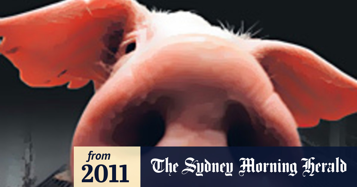 Jimmy's Farm, Tuesday, July 12