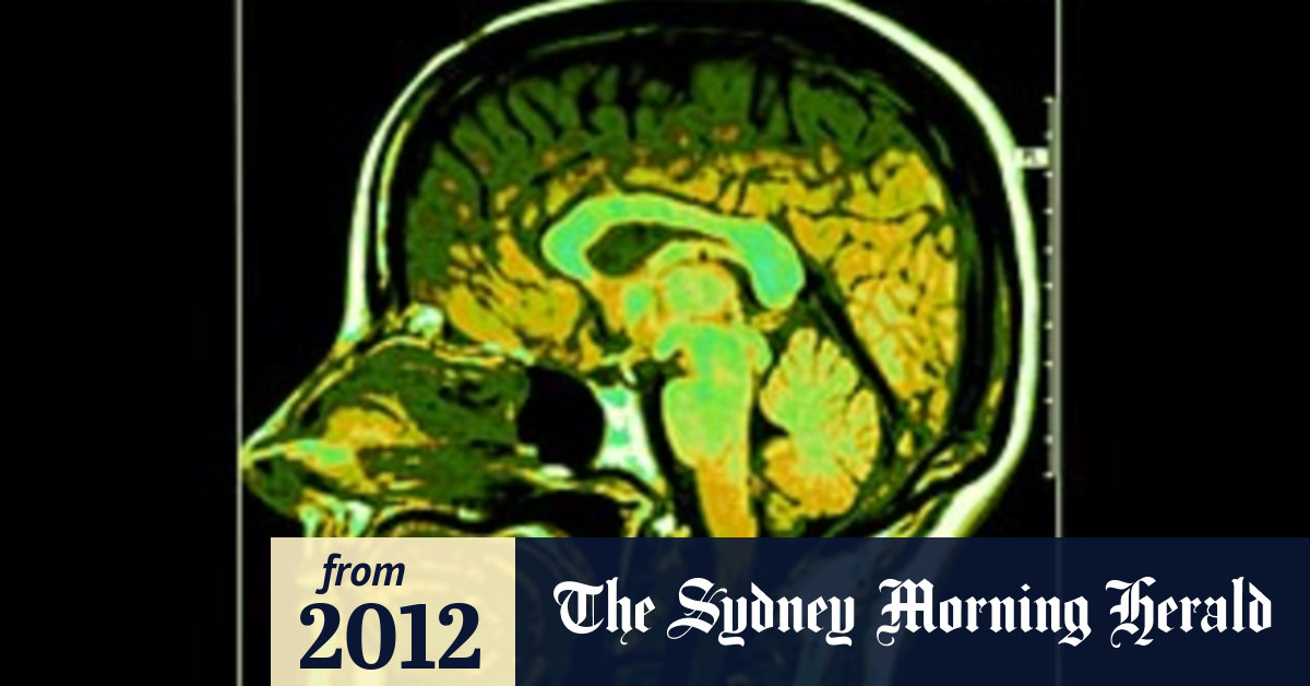 Hard knocks: why a blow to the head can have such devastating consequences