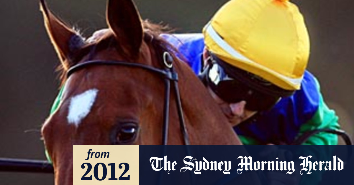 Reith returns for Golden moment on little Nechita