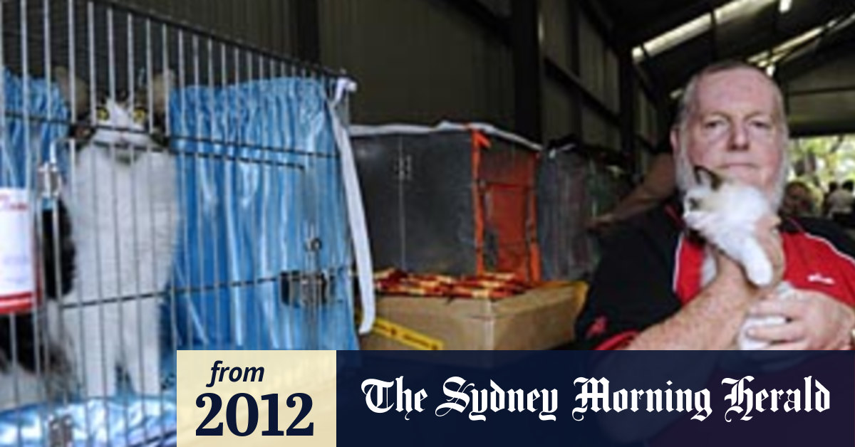 Fur flies as feline fanciers fight for supremacy