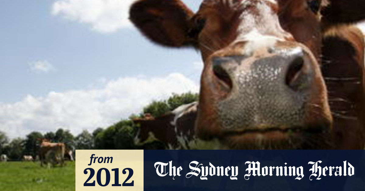 US mad cow scare to benefit Australia