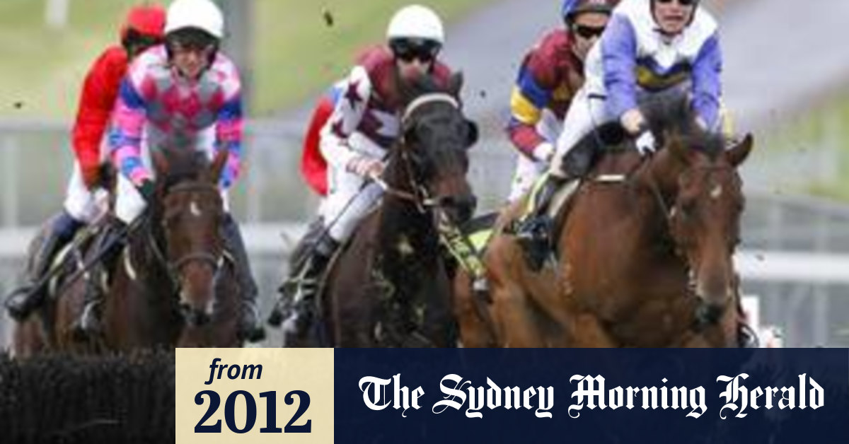 Jockey talks up 'forgotten' steeplechaser