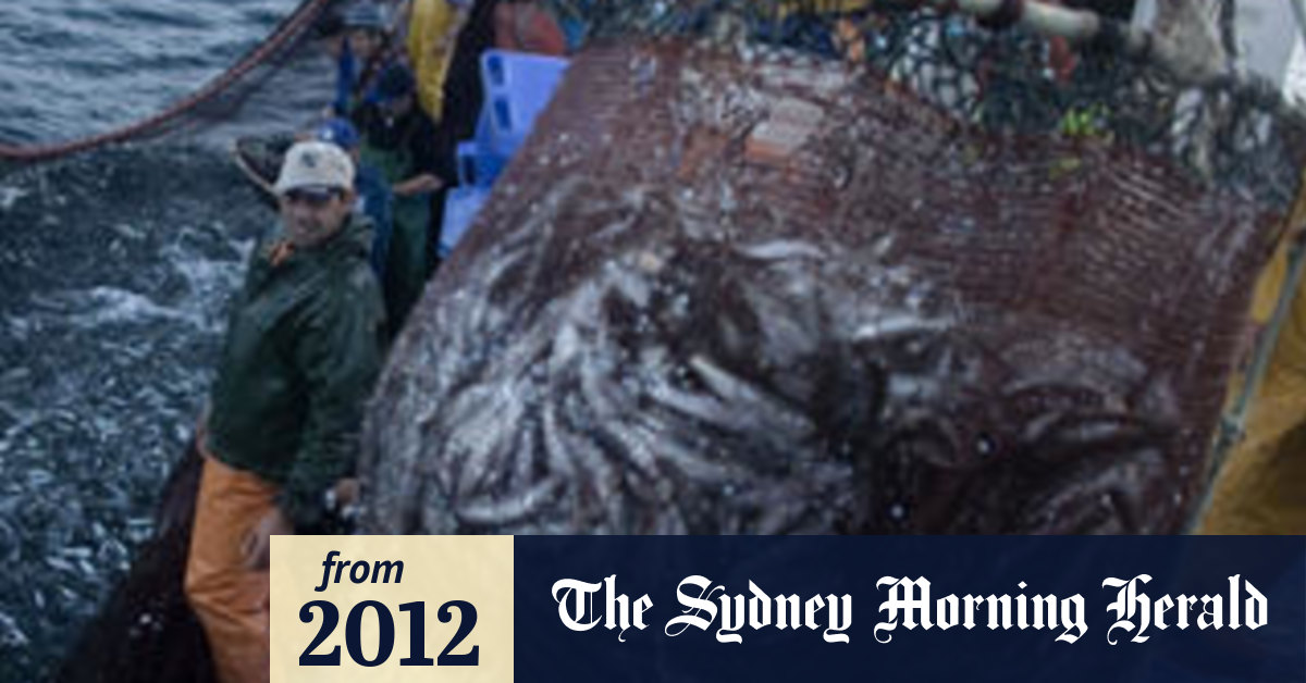 New laws to track fish catches