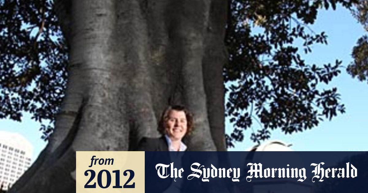 Rooted in history, Sydney celebrates its favourite trees