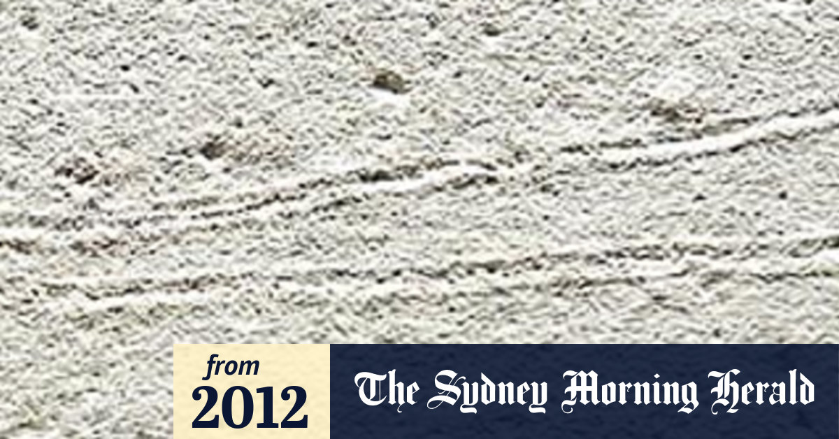 Fossilised tracks in Uruguay from oldest slug ever known