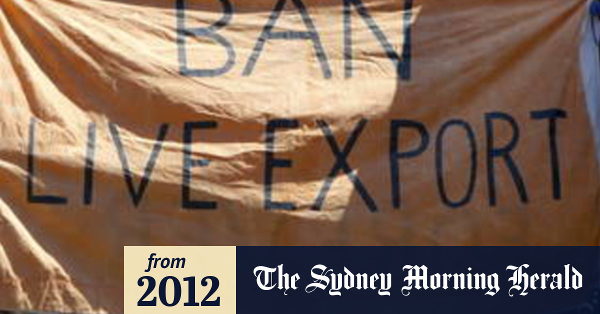 Protesters call for live animal exports ban
