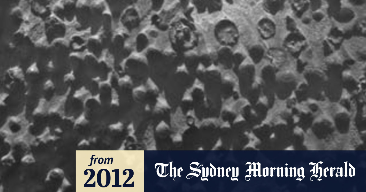 Mars rover discovers mysterious 'blueberries'