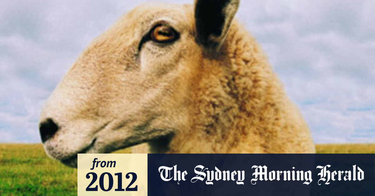 Why it's OK to be one of the 'sheeple'