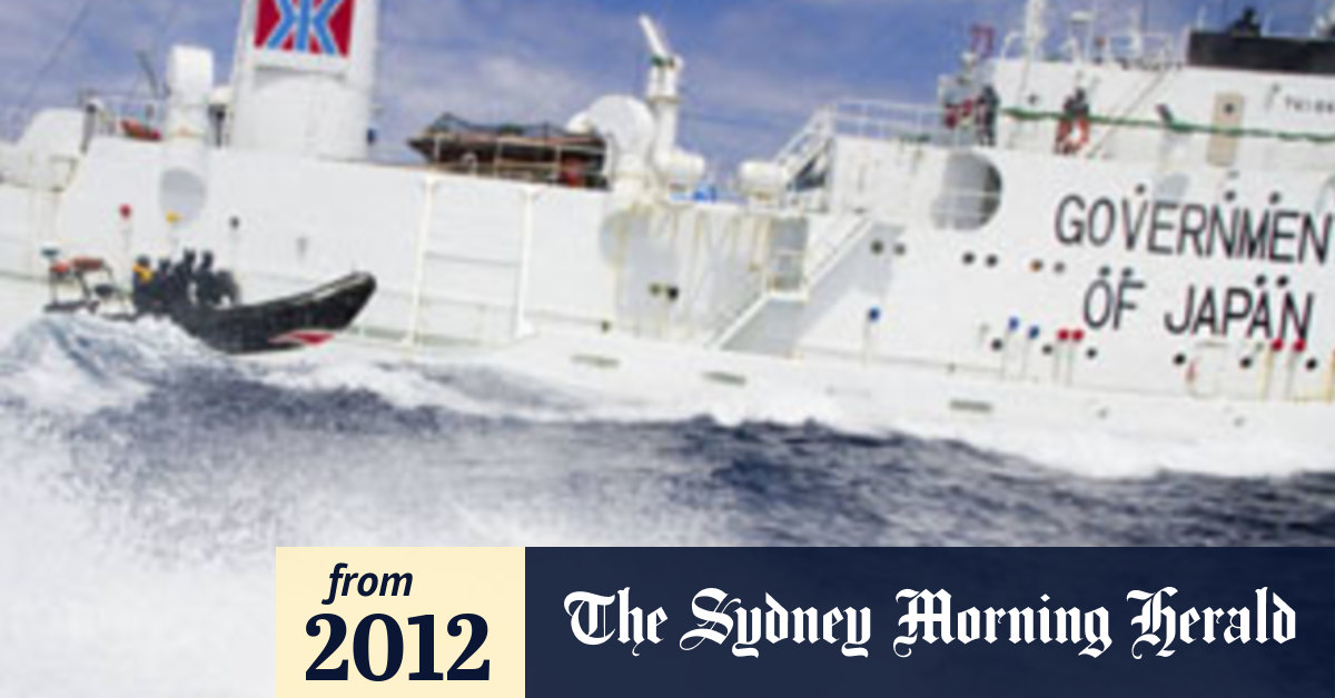 NZ joins Australia in Japanese whaling case