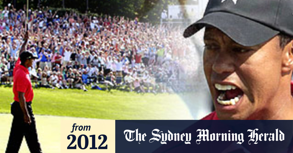 Tiger Woods wins after spectacular chip shot