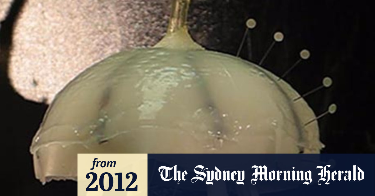 Robojelly 2.0: robotic jellyfish now powered by hydrogen