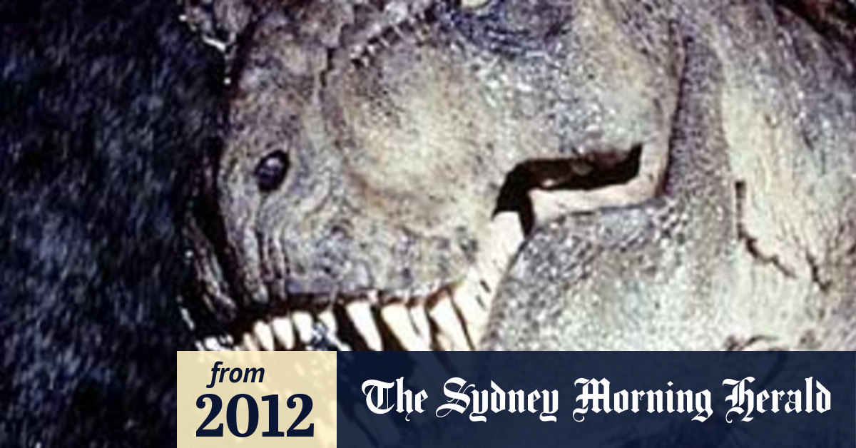 T-rex had most powerful bite: scientists