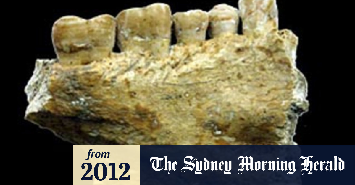 Need a filling? Stone Age dentists knew their beeswax