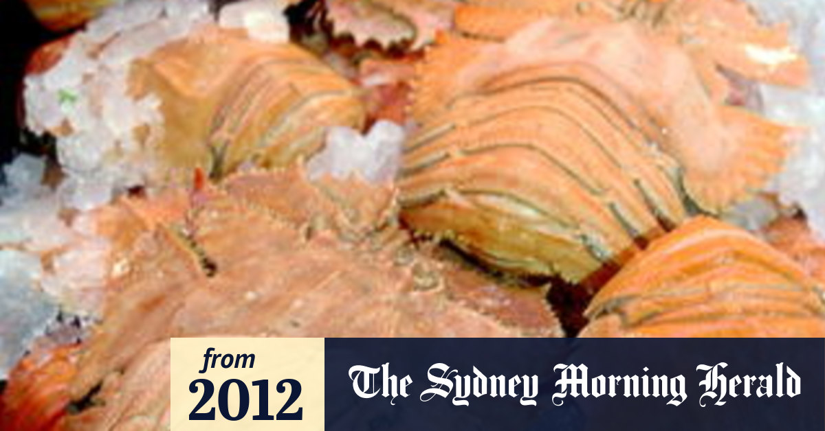 Five things to do with bug meat