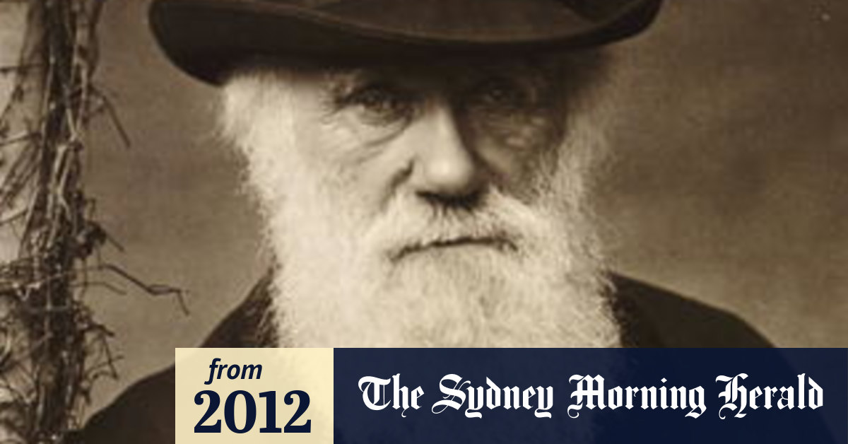 Darwin's fossils found forgotten for 165 years
