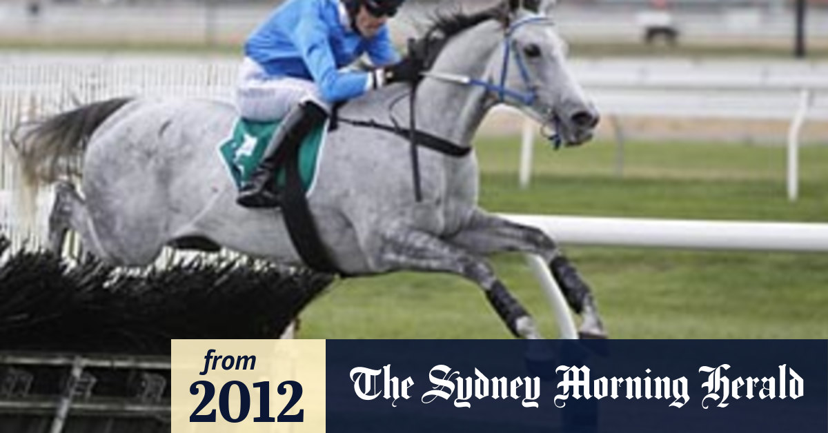 Jumps racing is simply indefensible