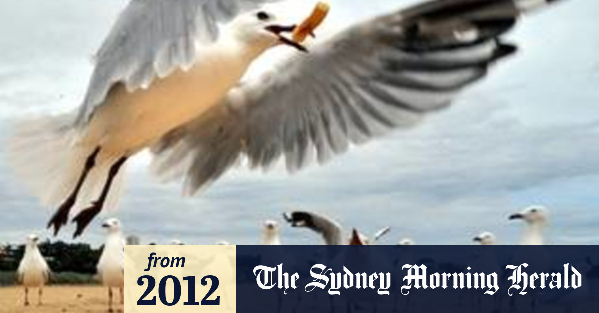 Best of 2012 by Joe Armao