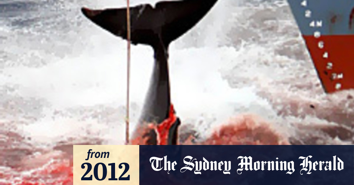 NZ intervenes in whaling case