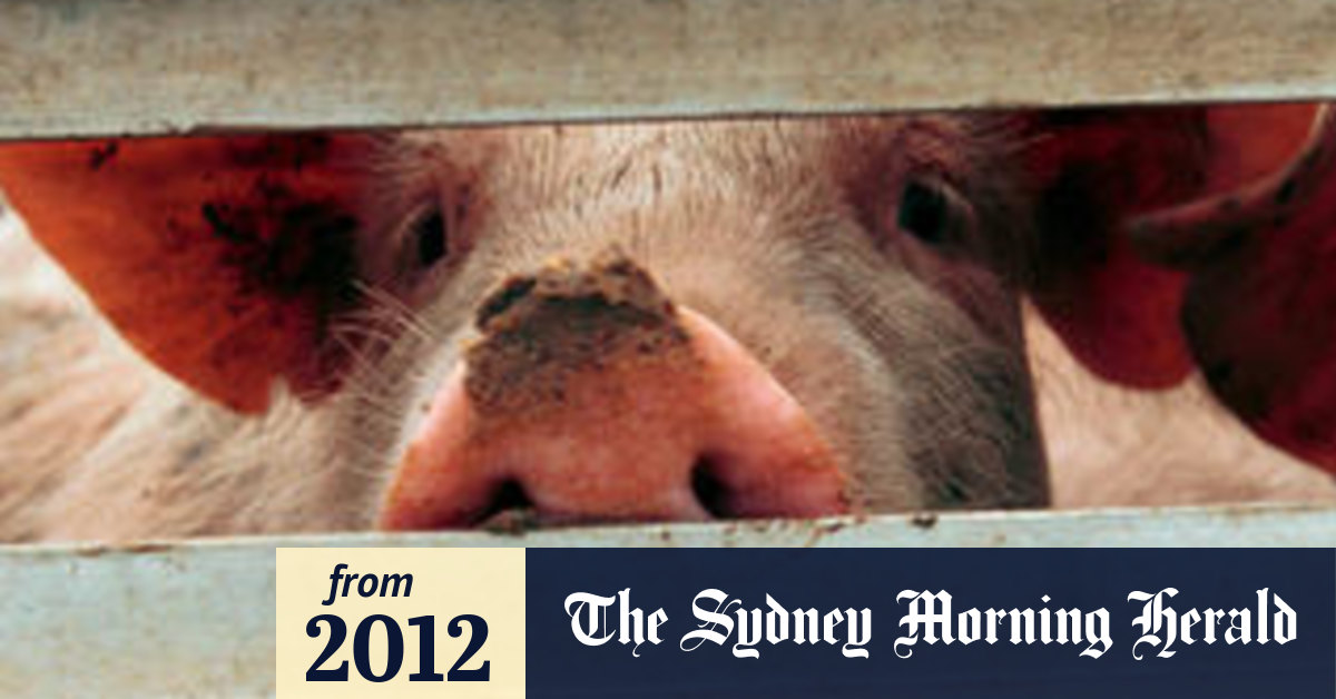 RSPCA defends pork stance