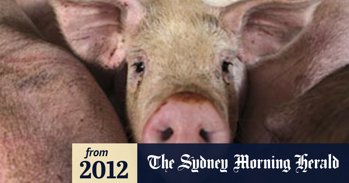 Industry fires back at factory farming campaign