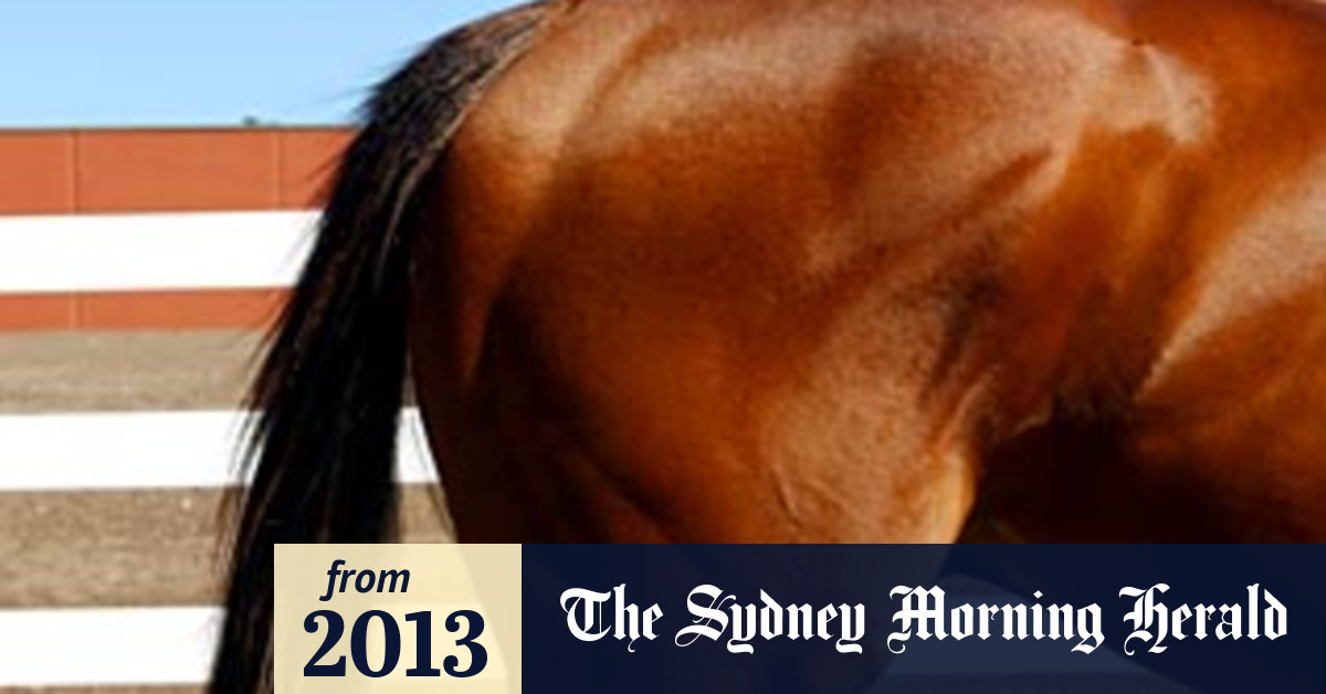 Equine-use-only tag a simple mistake