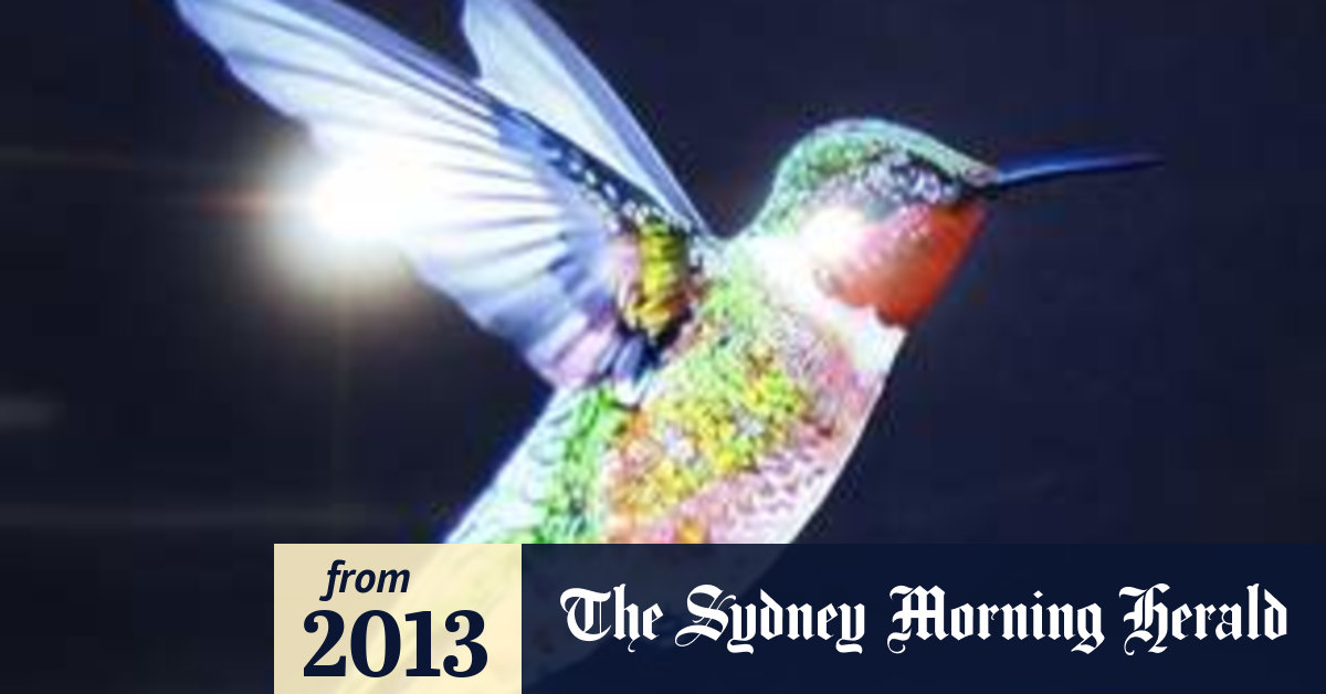 Google introduces new 'Hummingbird' search algorithm