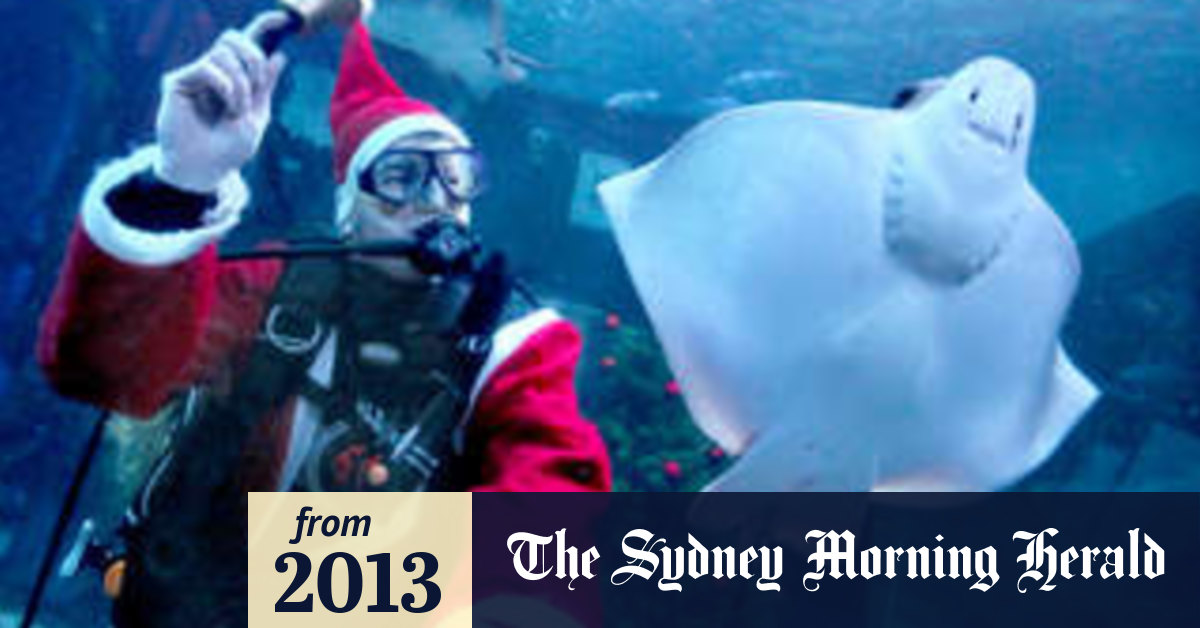 Scuba Santa makes a splash