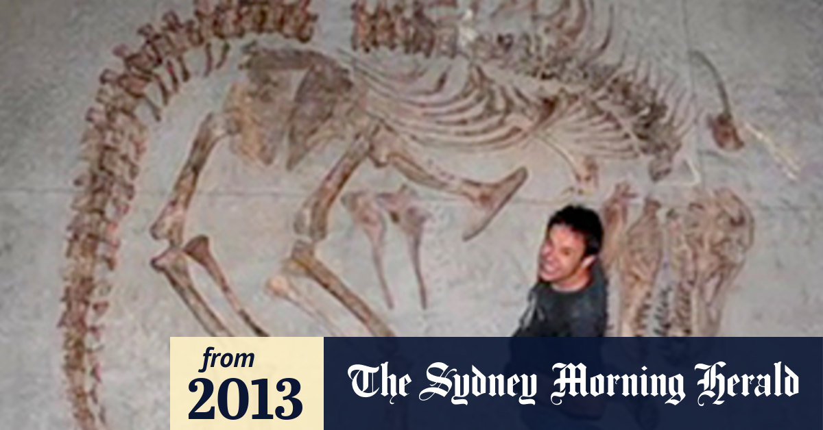 One of our dinosaurs is missing