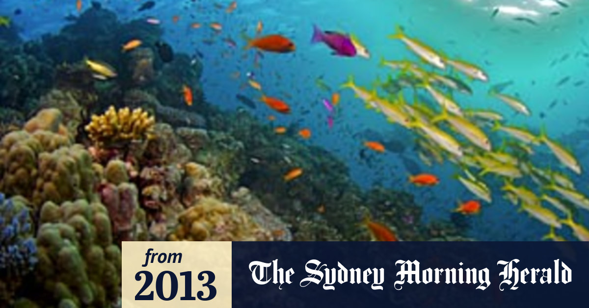 Scientists demand urgent action on reef mine plans