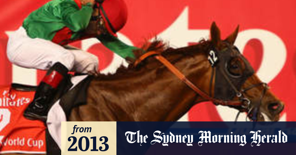 Cox Plate a chance for Animal Kingdom