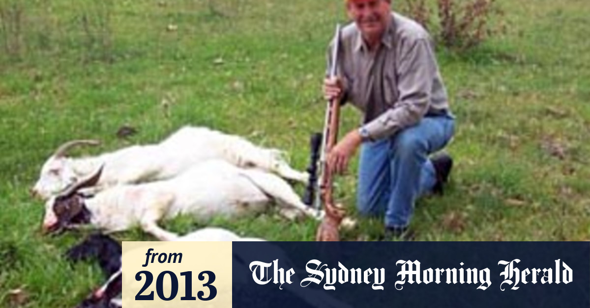 Bill for goat shooting could fall on taxpayers