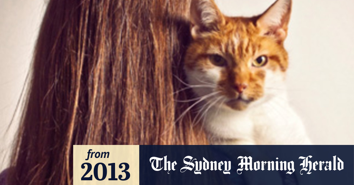 The evolution of our cat obsession