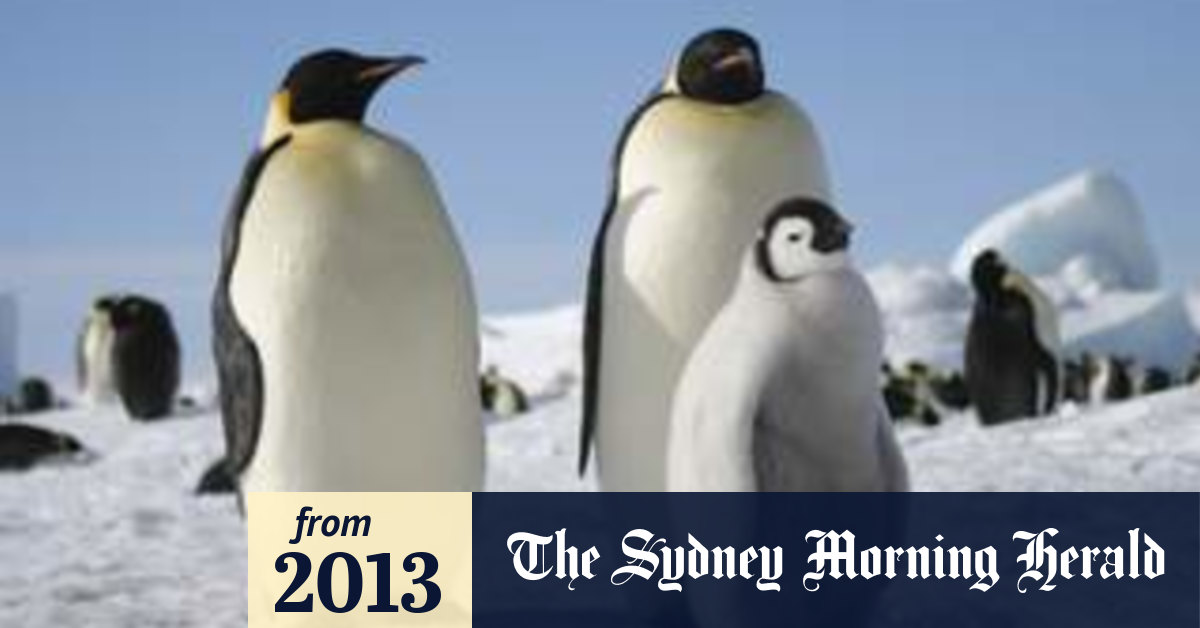 Record cold clocked in Antarctica