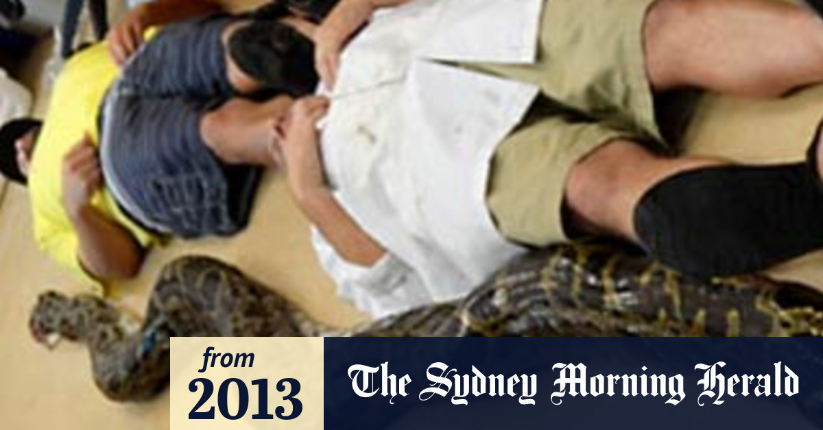 Giant 5.7 metre python killed, sets new record