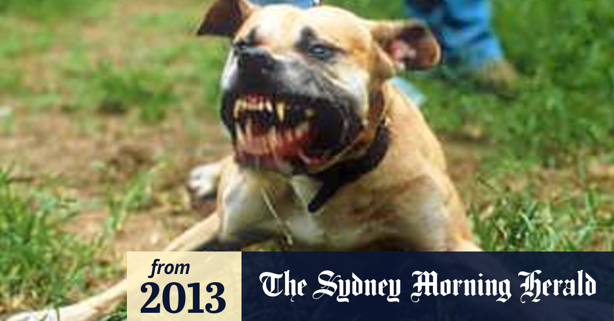 Rangers will be given power to remove 'menacing dogs'