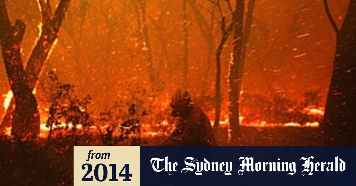 Bushfire photos teach lessons of the flames, on show in NSW library