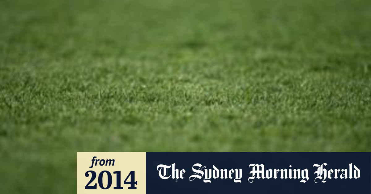 MCG turf to be fully replaced ahead of cricket World Cup final