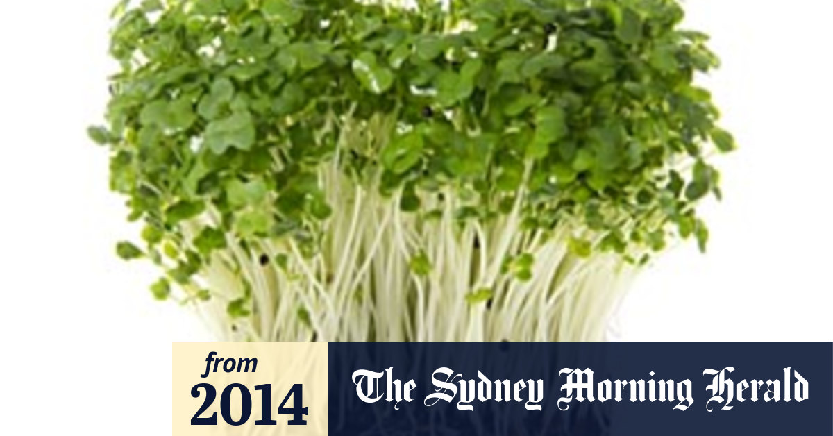 Top 10 powerhouse vegetables