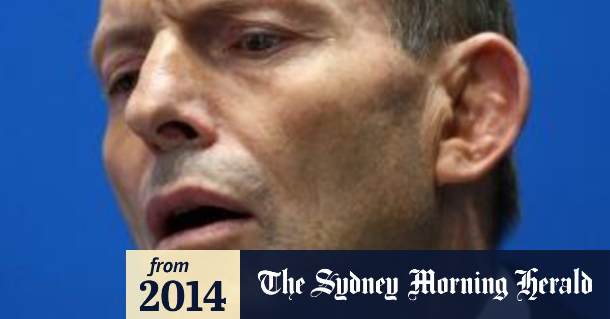 Tony Abbott v Vladimir Putin: shirt-front talk switches to robust ...