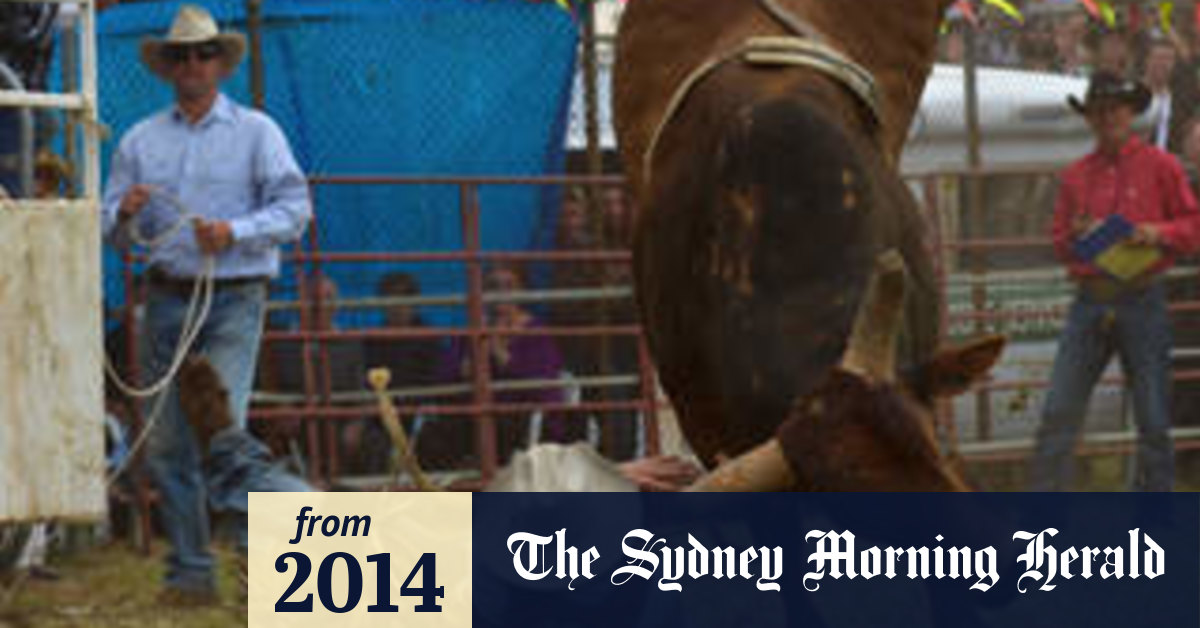 Thrills and Spills From The Lang Lang Rodeo